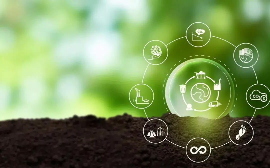 L'ACV : La Clé pour une Éco-conception efficace de vos produits et ...